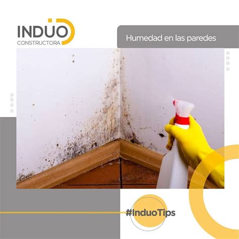 Humedad En Paredes Solucion