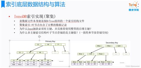 【mysql性能调优】索引底层数据结构与算法 mysql底层数据结构和调优 csdn博客