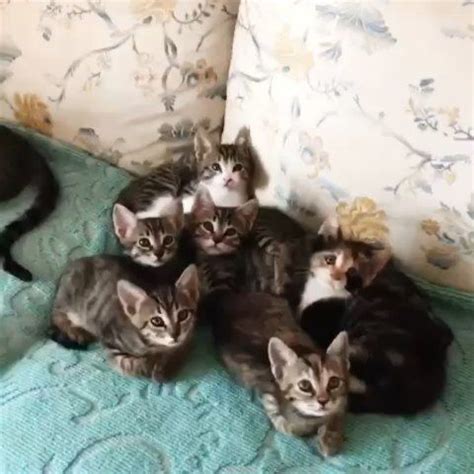 28 Beğenme 5 Yorum Instagram da Yasemin Güler Yıldırım