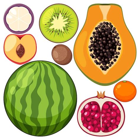 Una colección de diferentes frutas Vector Premium