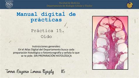 Histolog A Udocz
