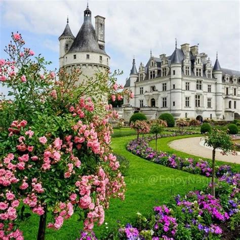 Roses garden at château de chenonceau in loire valley France