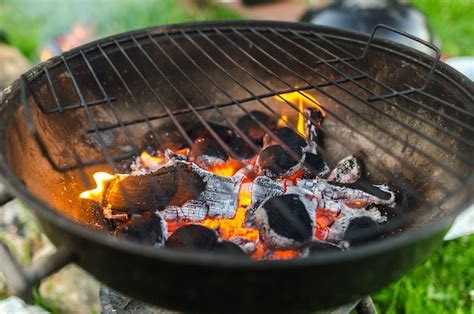 Como Organizar Um Churrasco Ao Ar Livre Para Ba J