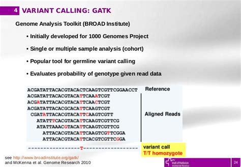 introduction to ngs variant calling analysis ueb uat bioinformatics