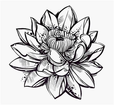 Coloriage Fleur De Lotus Maison Bonte Votre Guide Magazine