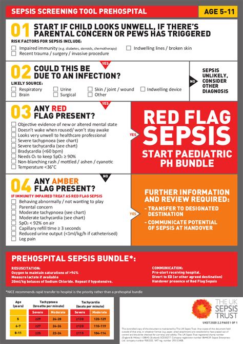 Understanding Sepsis REAL First Aid REAL First Aid