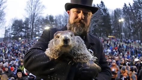 Dia de la Marmota Història Significat i Celebració
