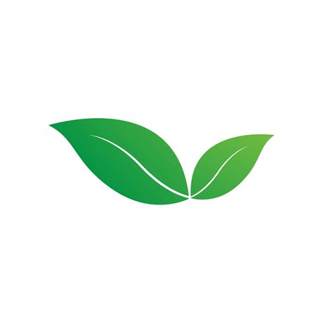 A Fresh Green Leaf On White Background Natural Leaf Icon Logo Symbol