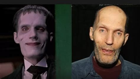 Como esta o elenco de A Família Addams 30 anos após estreia