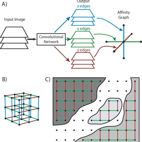 a creating the affinity graph using a convolutional network the download scientific diagram