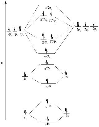F Molecular Orbital Diagram Bond Order