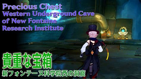 Precious Chest Western Cave Of New
