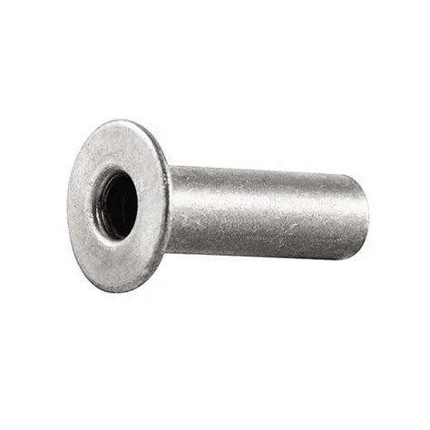2inch Mild Steel Hollow Rivet at Rs 0 35 piece खखल रवट in