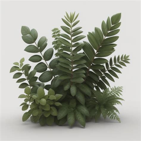 Premium Photo A Plant With Green Leaves And A White Background