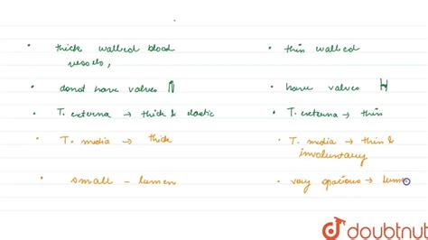 Distinguish Between Arteries And Veins Giving Suitable Well Labelled D