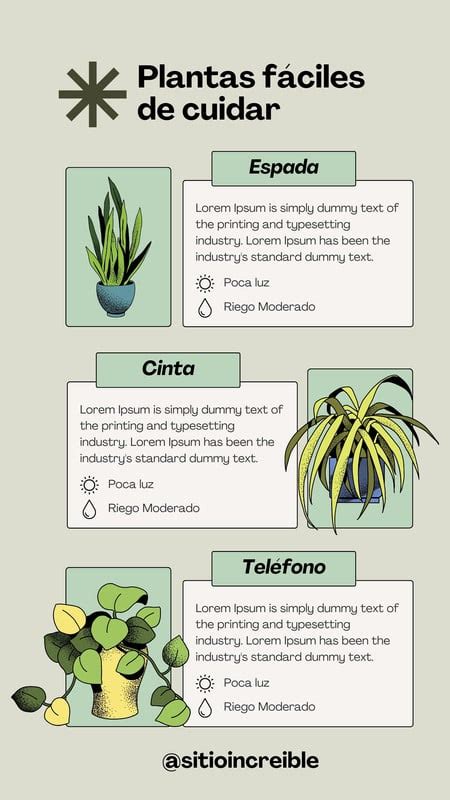Plantillas Plantas Gratis Y Editables Canva