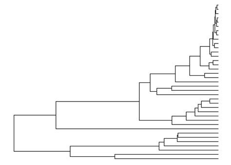 Let S Plot Clustered Dot Plots In The Ggverse Eye Bioinformatician