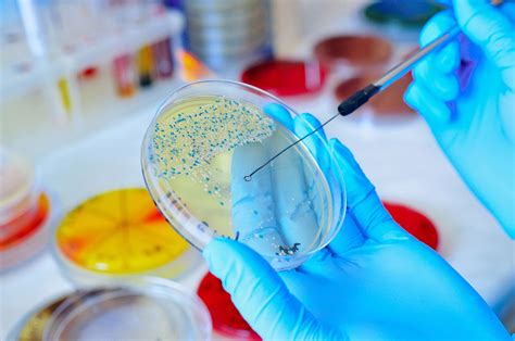 Biosafety Cabinet Installation And Maintenance Best Practices Esco