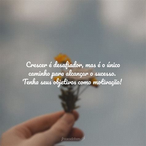 50 frases de motivação para status que trarão coragem ao seu dia