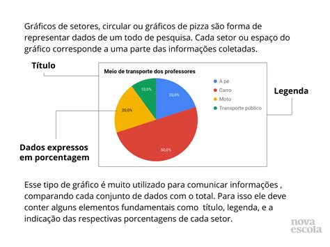 O Que S O Gr Ficos De Setores Planos De Aula Ano