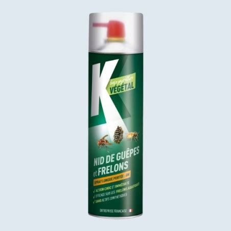 Aérosol anti nids de guêpes et frelons Le Briochin
