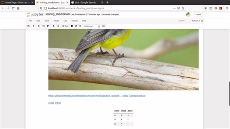 Introduction To Markdown In Jupyter Notebook Youtube