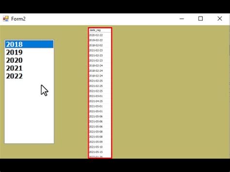 Programming VB Net Retrieve Data In Listbox By Format Year From Date