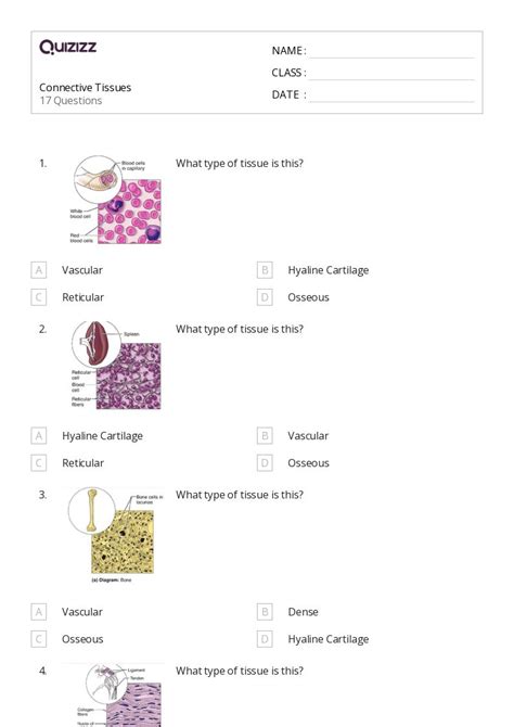 Activity Sheets Connective Tissues Pdf Connective Tissues To