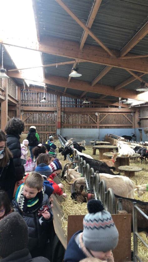 Fin Des Accueils De Loisirs Ville De Billy Berclau