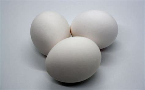 How To Tell If Chicken Egg Is Fertilized LearnPoultry