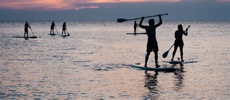 Consejos Para Practicar Paddle Surf SANTA CATALINA SUP
