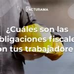 Cu Les Son Las Obligaciones Fiscales En M Xico Impuestos