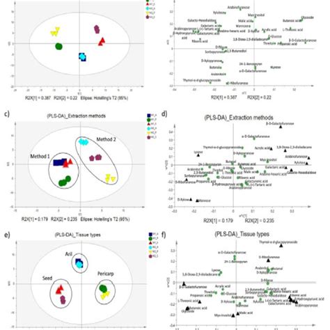 multivariate analysis a pca score plot b pca loading plot c download scientific diagram