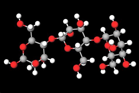 Cellulose Structure