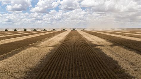 Rei da soja Conheça um dos maiores produtores do país CompreRural