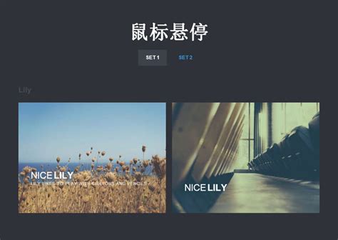 css3鼠标悬停图片文字动画效果代码