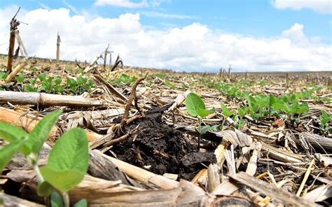 Save Money On Fuel With No Till Farming Farmers Gov