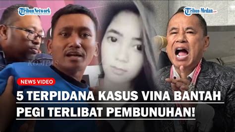 BABAK BARU Hotman Tegaskan 5 Terpidana Pembunuhan Vina Akui Pegi Bukan
