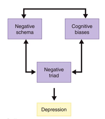 Depressive Disorders Flashcards Quizlet