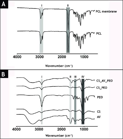 Attenuated Total Reflectance Fourier Transform Infrared Spectroscopic