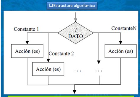 Windows Forms Ronaldocg