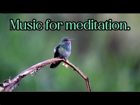 Gentle Music For Health And For Calming The Nervous System Deep
