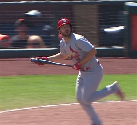 Cardinalss On Twitter Cocks Baseball Bat