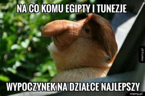 Wakacje Memy Najlepsze Memy I Zabawne Obrazki Z Wakacjami I Urlopem W
