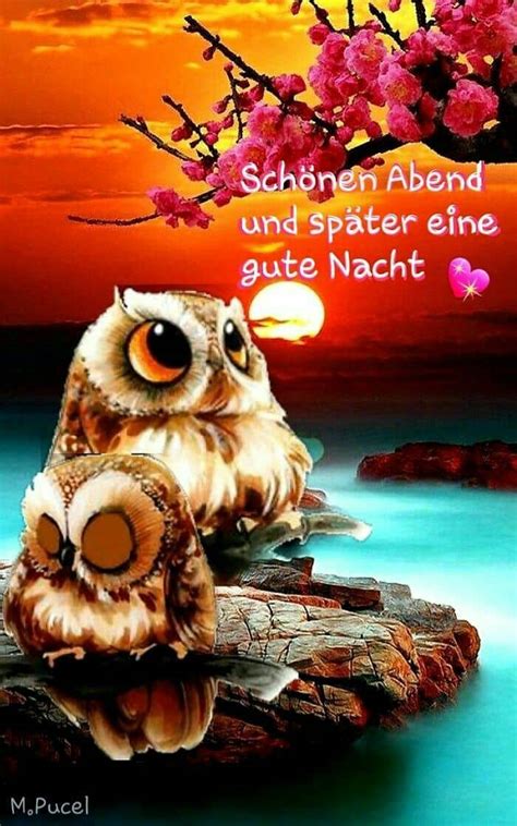 37 Schone Sprüche Eine Schöne Abend Und Schone Wochenende Mit Bild