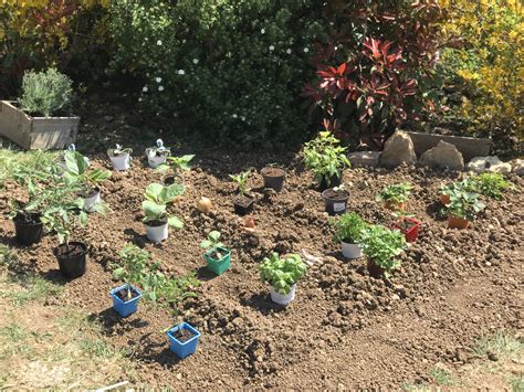 Potager Osez Planter Ça Pousse