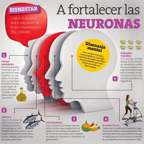 El cerebro sigue produciendo nuevas neuronas hasta entrados los 90 años