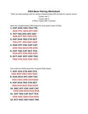 Copy Of Base Pair Worksheet DNA Base Pairing Worksheet There Are Base