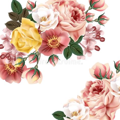 Ramo De Rosas Cor De Rosa Ilustra O Do Vetor Ilustra O Do Vetor