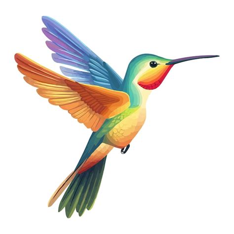 Pássaro colibri voador de desenho animado isolado em fundo branco